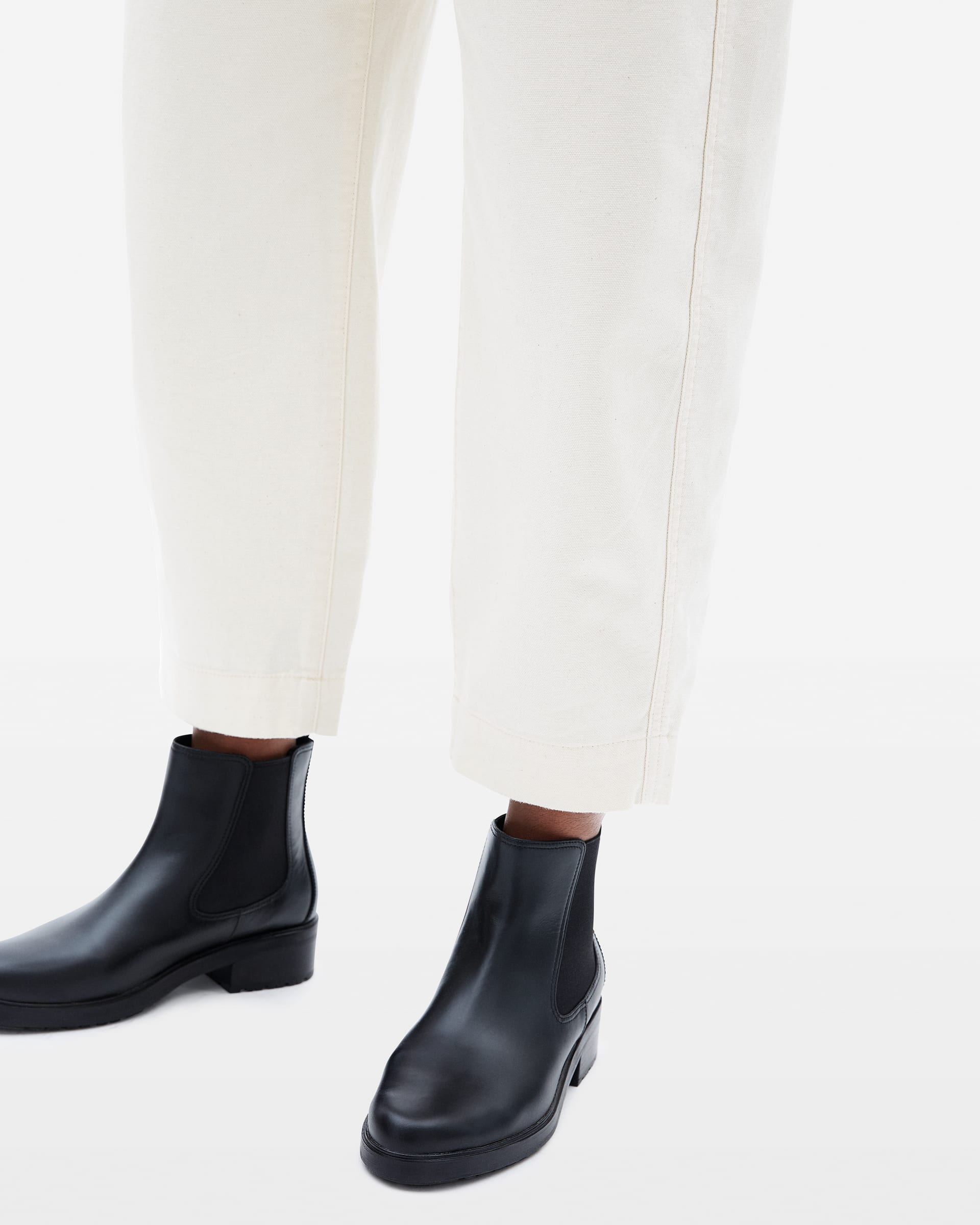 The Arc Canvas Pant Canvas Everlane
