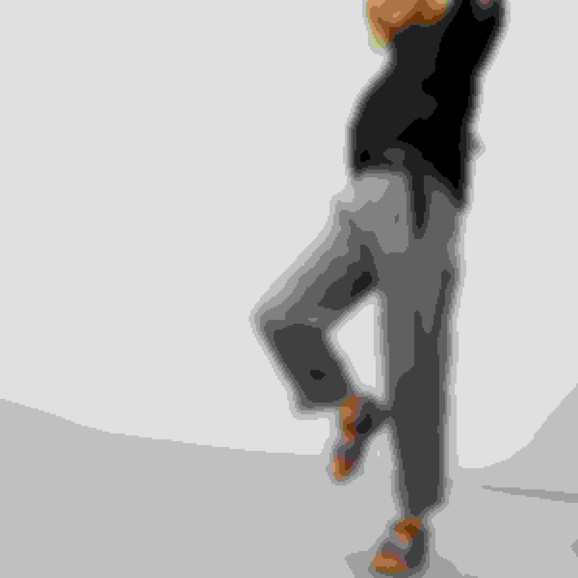 Everlane | Modern Basics. Radical Transparency.