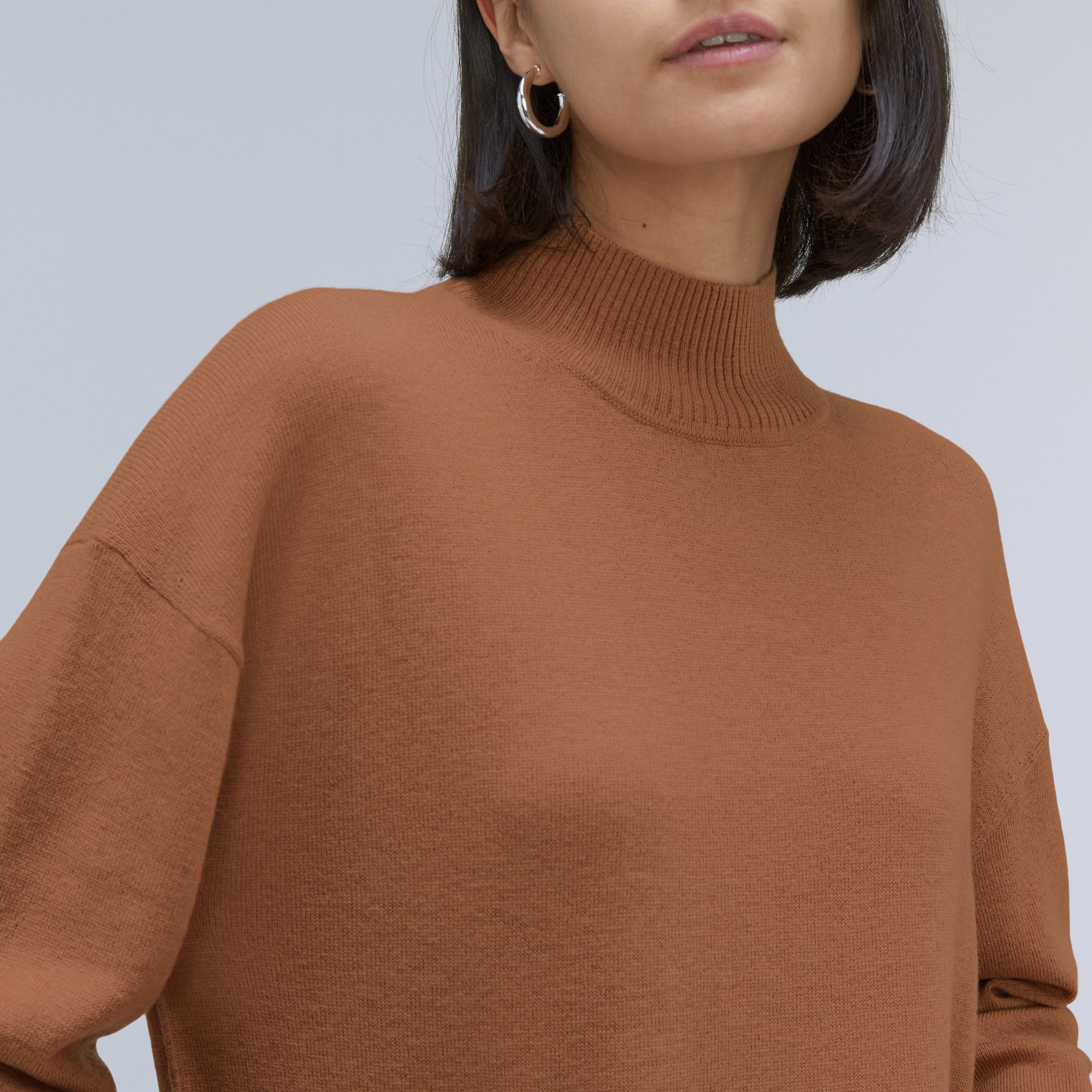 The Luxe Merino Turtleneck Tawny Brown – Everlane