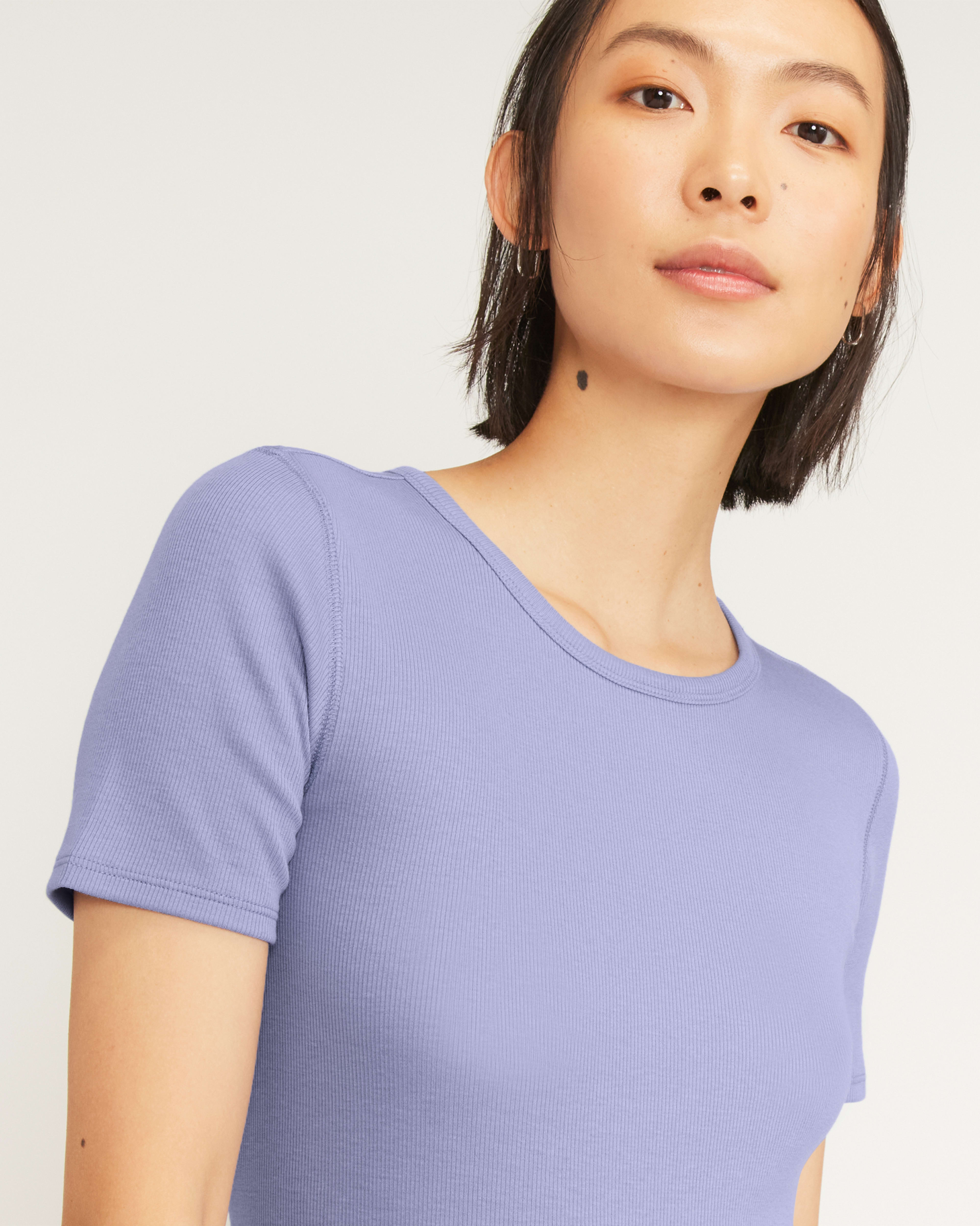 The Pima Micro-Rib Crew Tee Cornflower Blue – Everlane