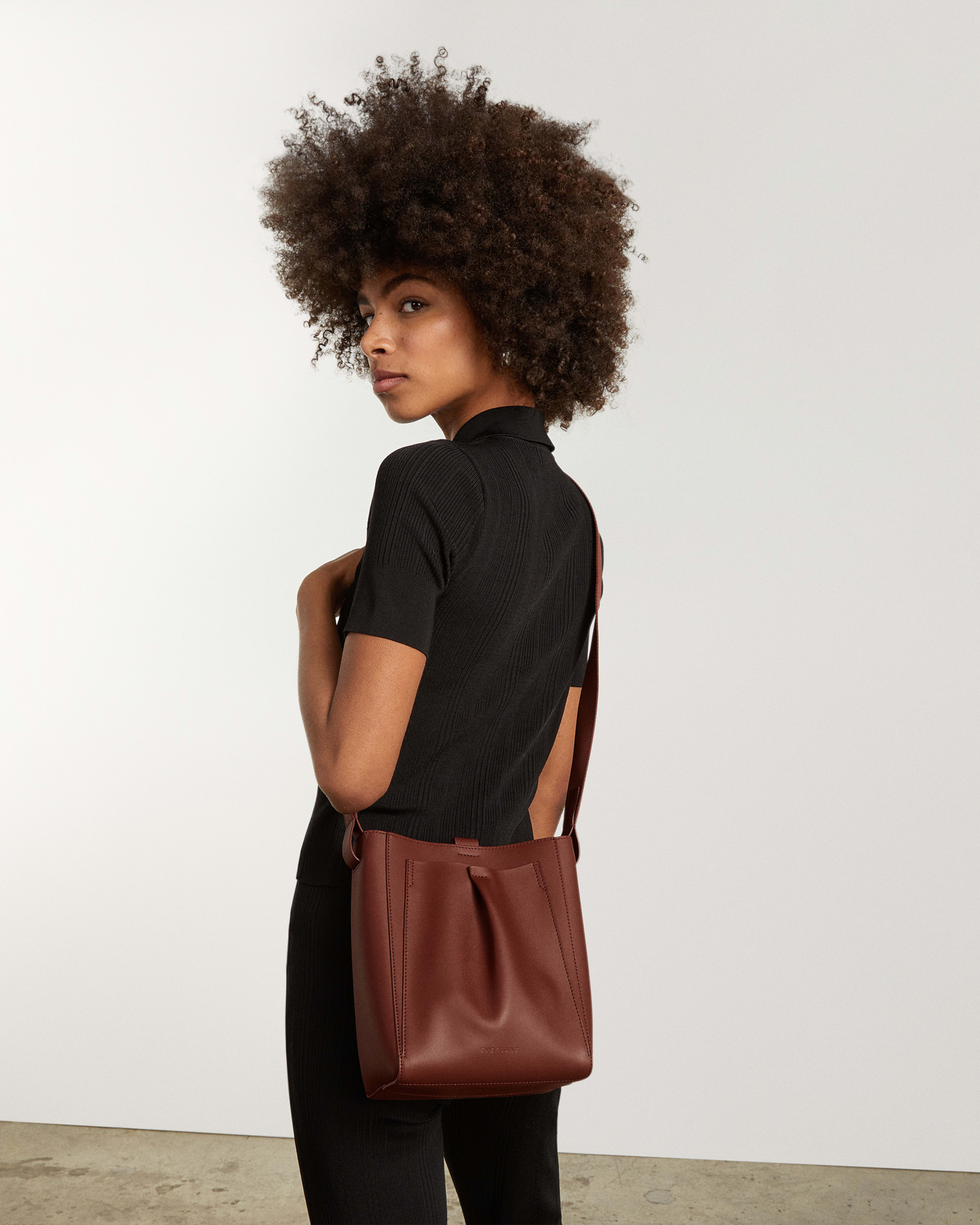 The Mini Studio Bag Cognac – Everlane
