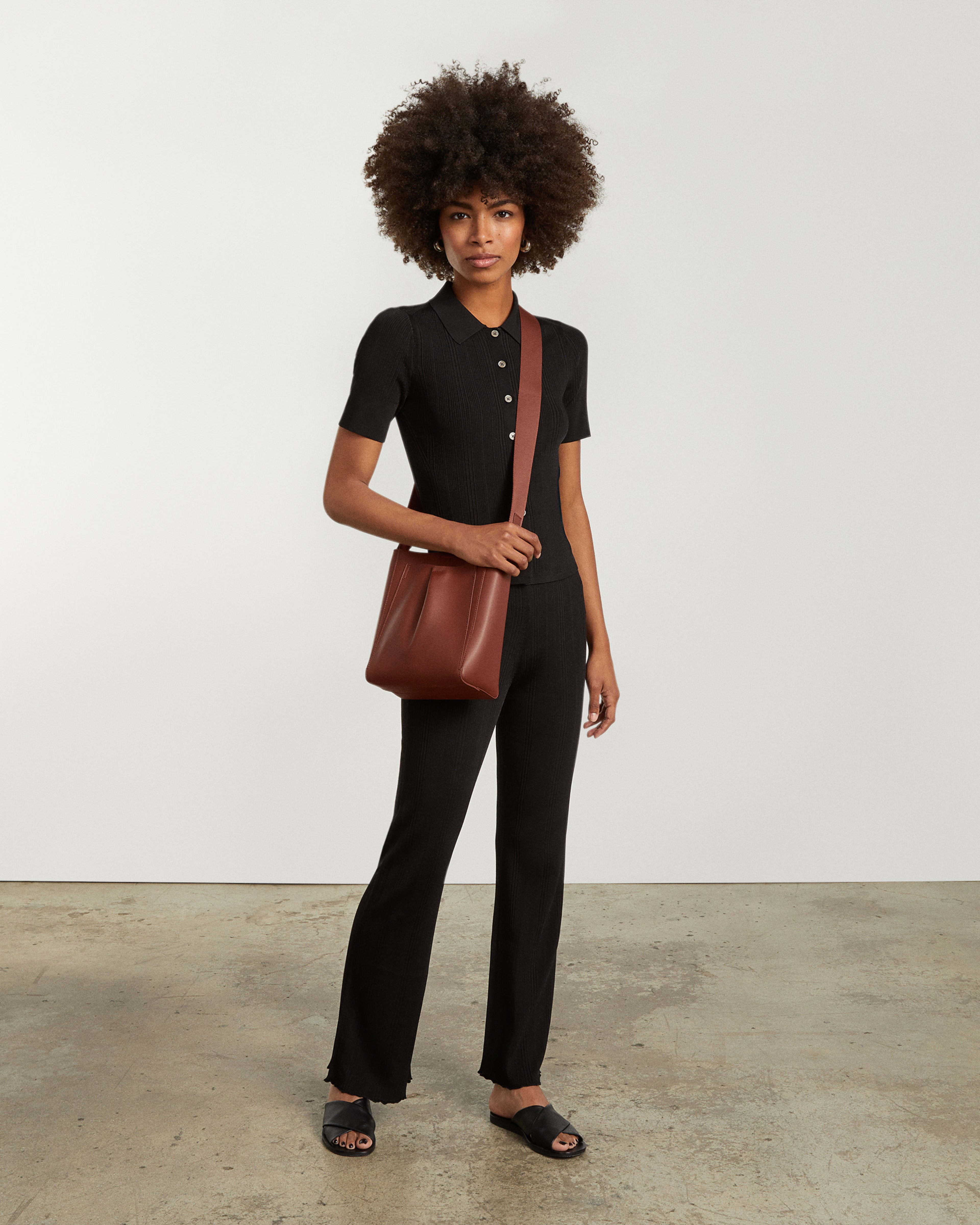The Mini Studio Bag Cognac – Everlane