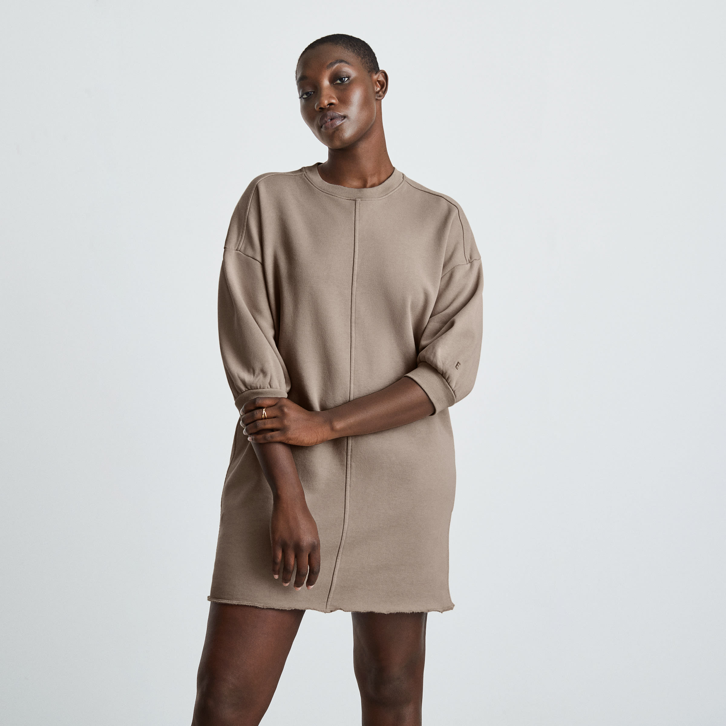 The Track Dress Burnt Sugar – Everlane