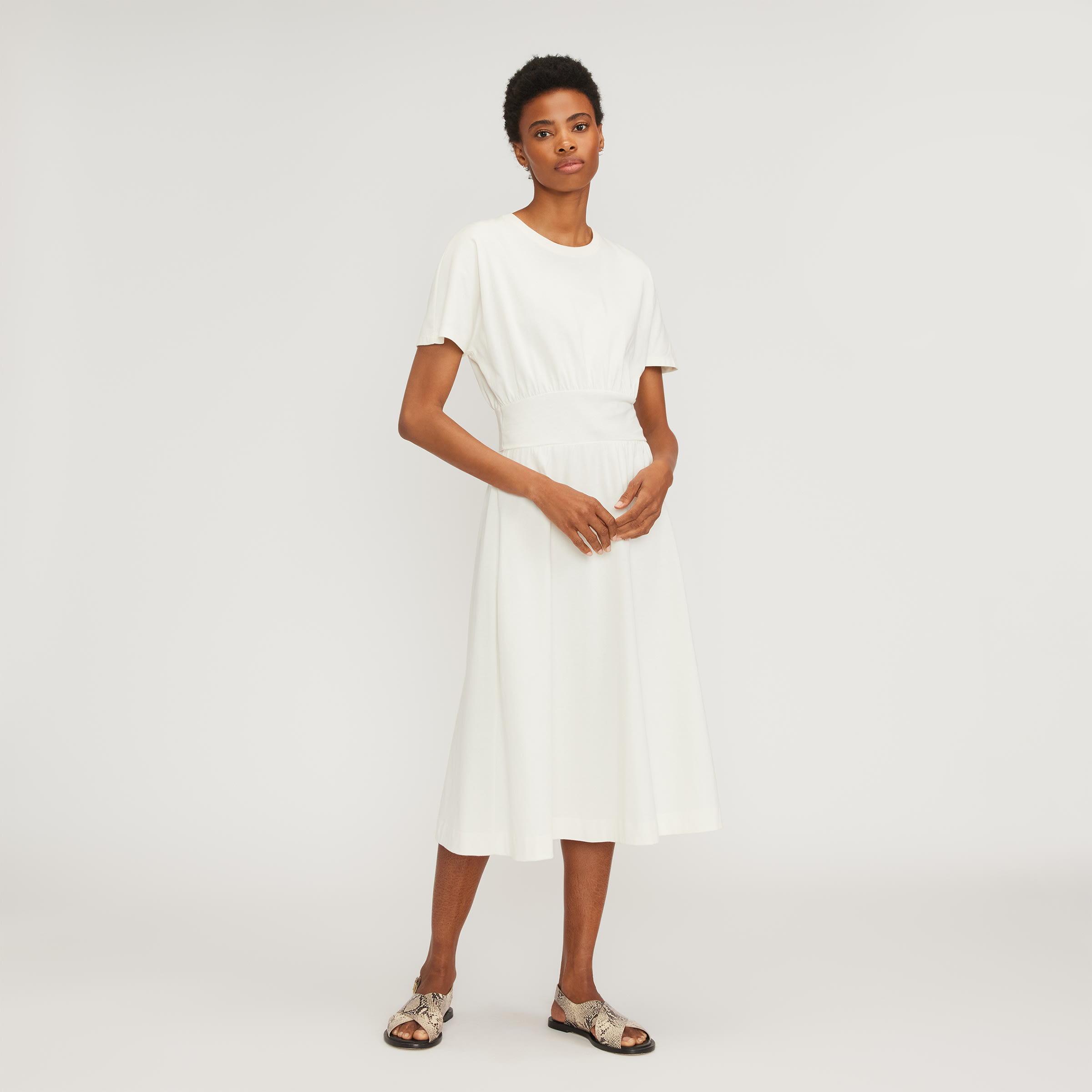The Organic Cotton Waisted Dress Canvas – Everlane