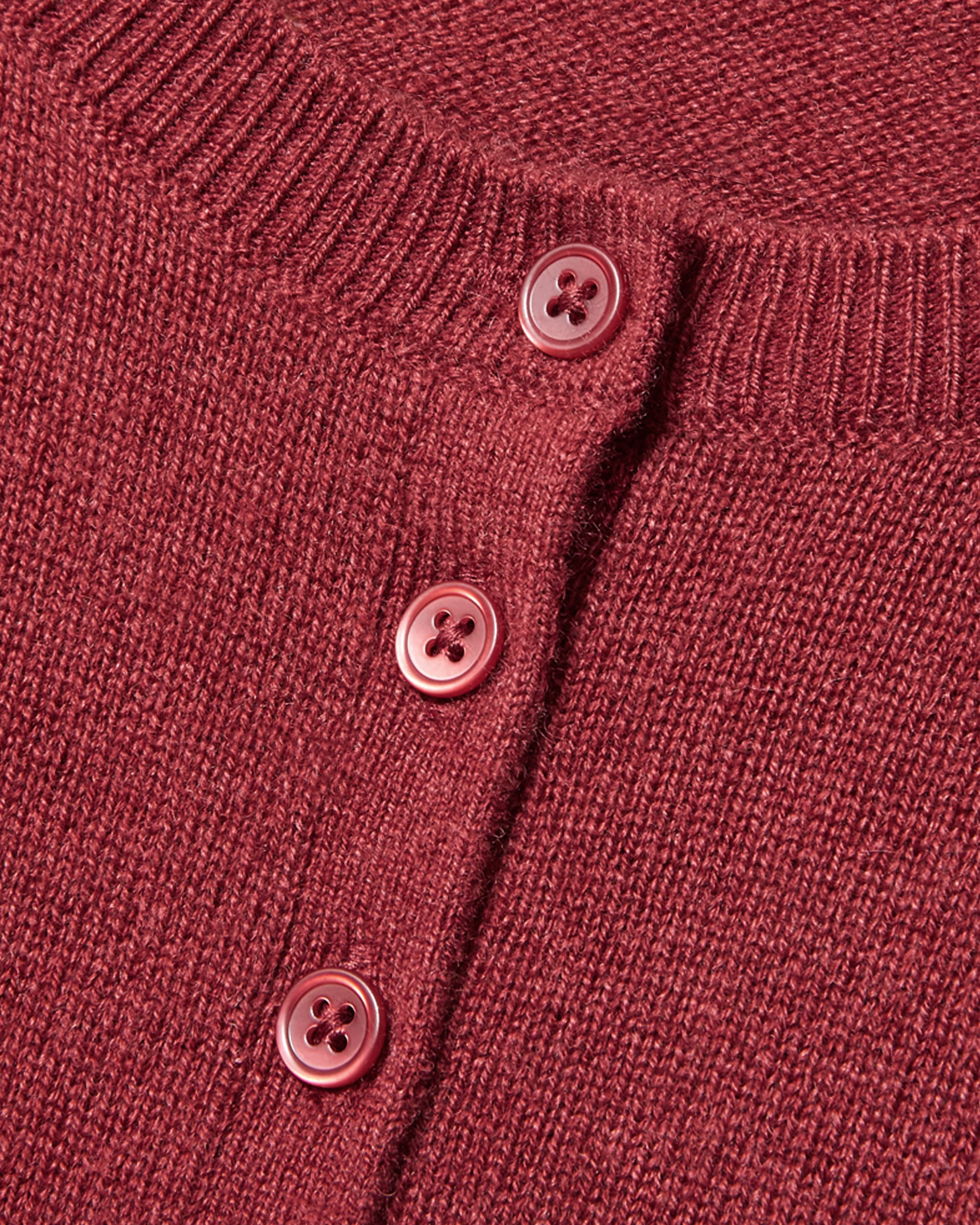 The Cashmere Henley Carmine – Everlane