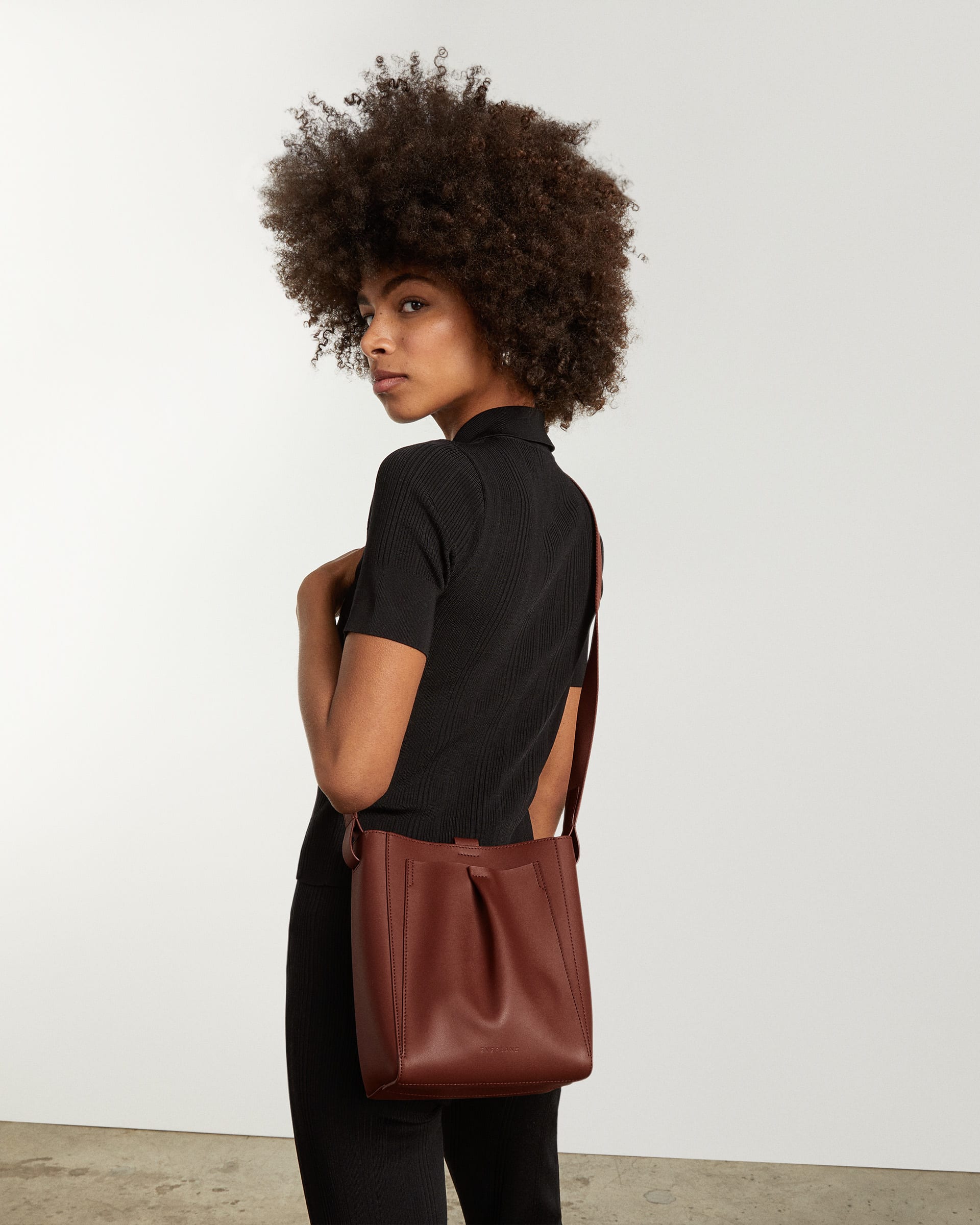 The Mini Studio Bag Cognac – Everlane