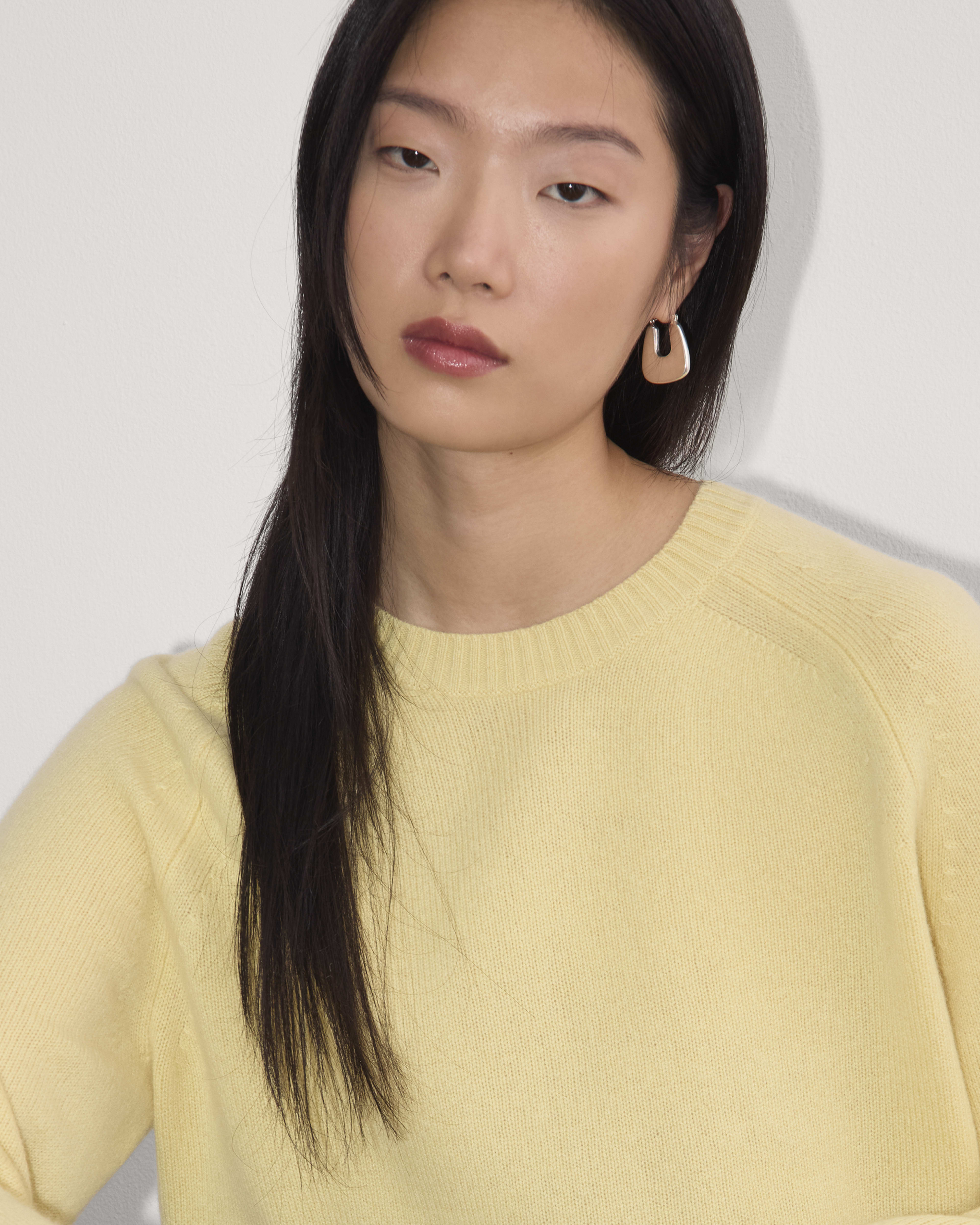 The Boxy Crew in Cashmere Parsnip – Everlane