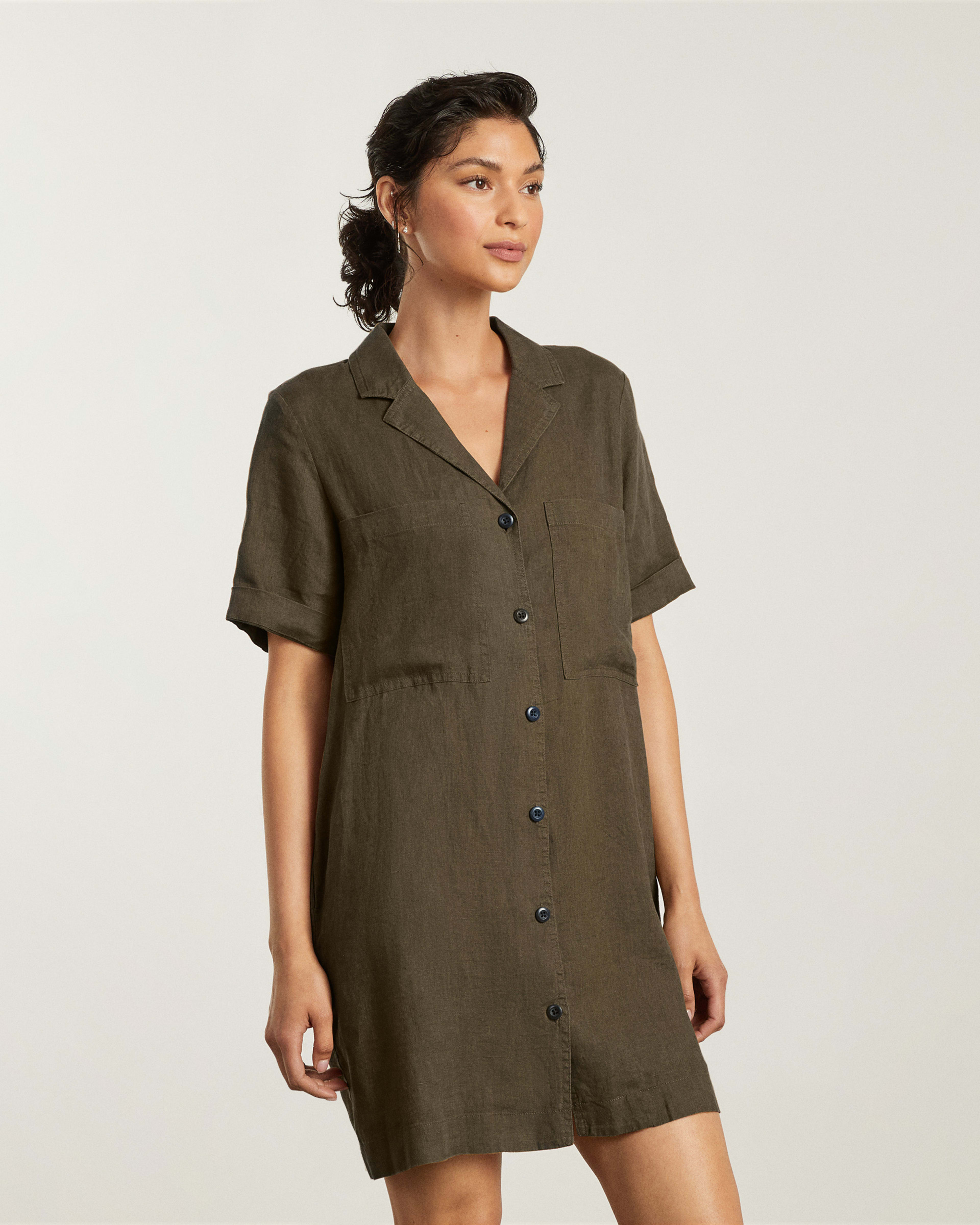 The Linen Workwear Dress Beech – Everlane