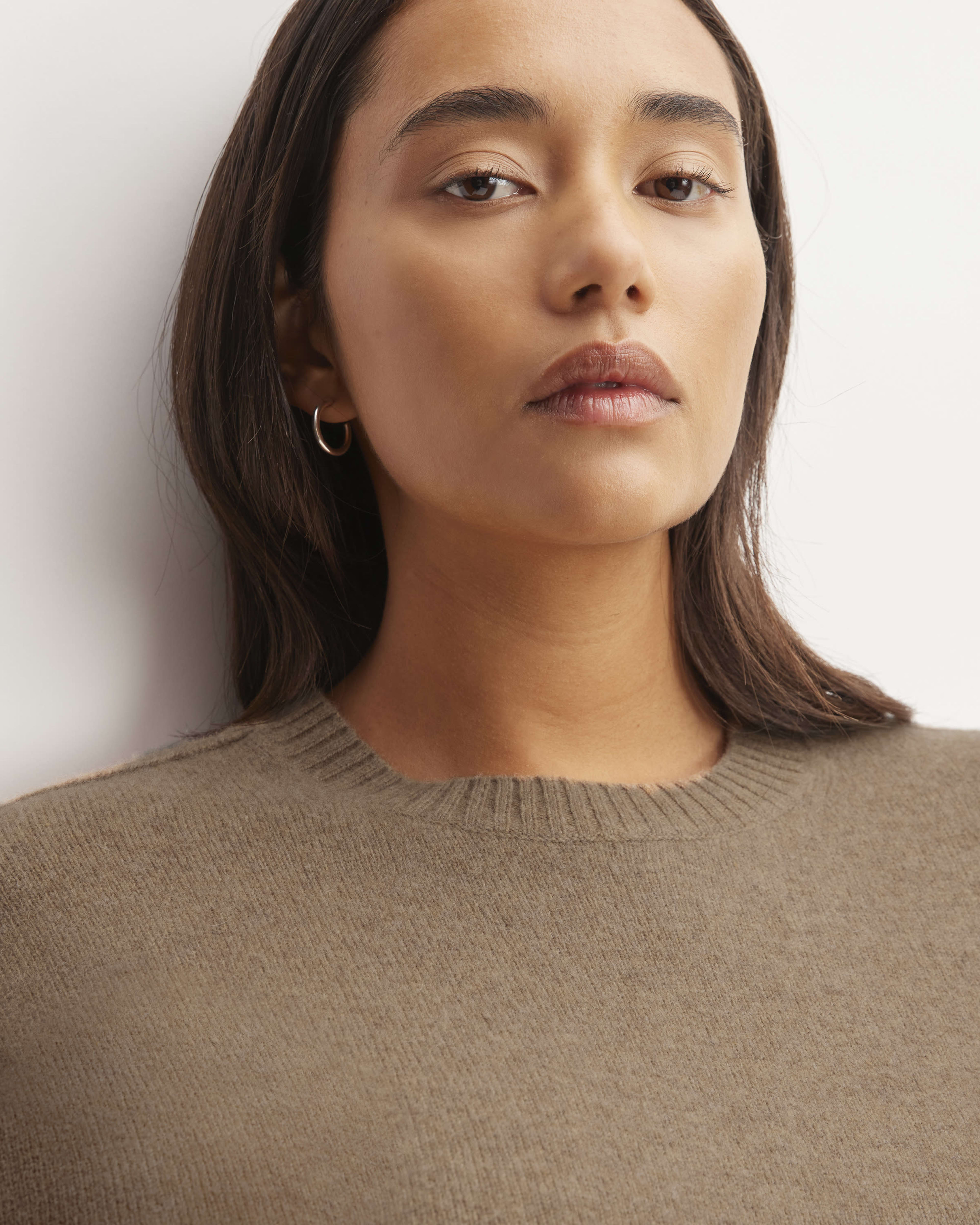 The Good Merino Wool Crewneck Sweater Praline – Everlane