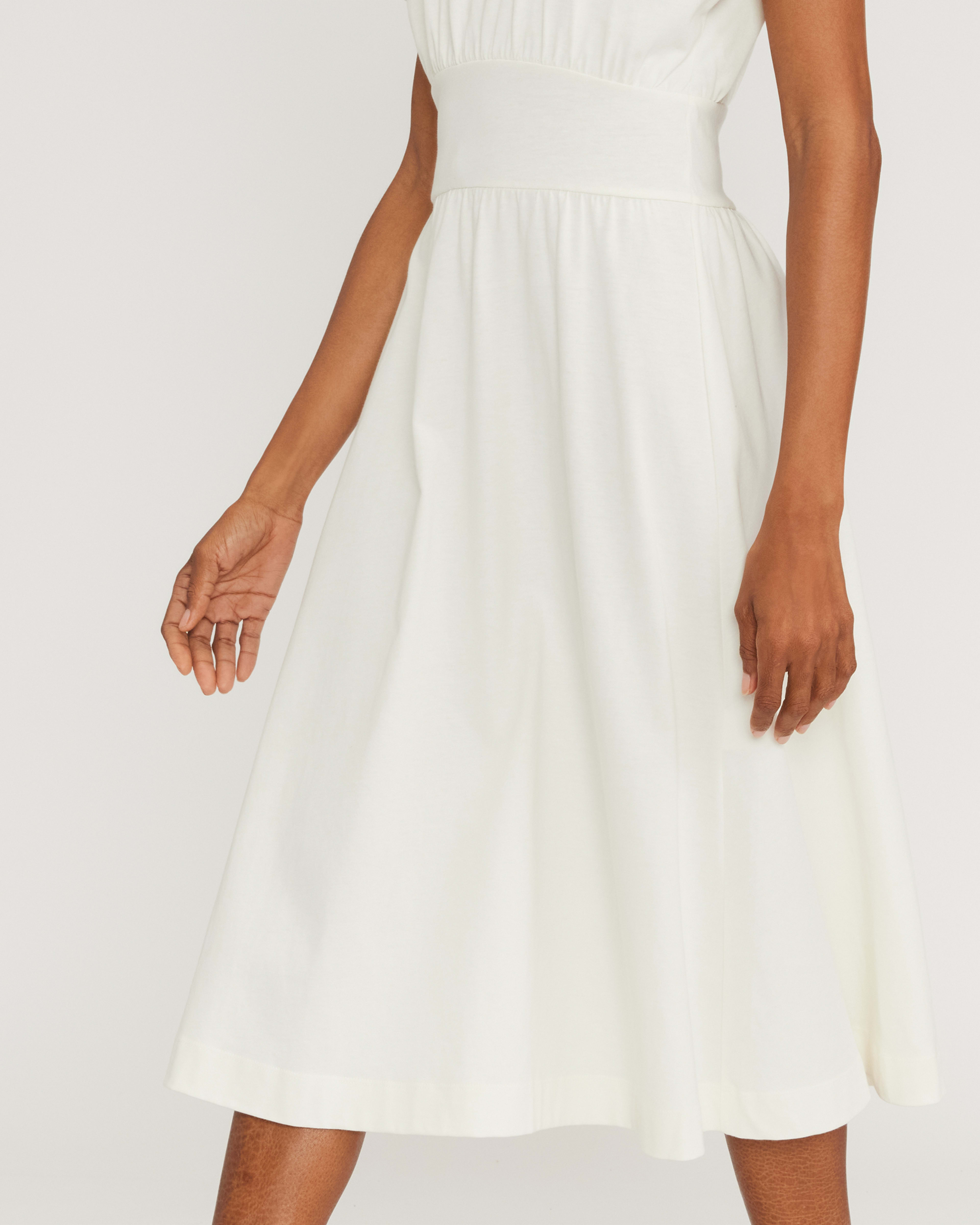 The Organic Cotton Waisted Dress | Canvas – Everlane