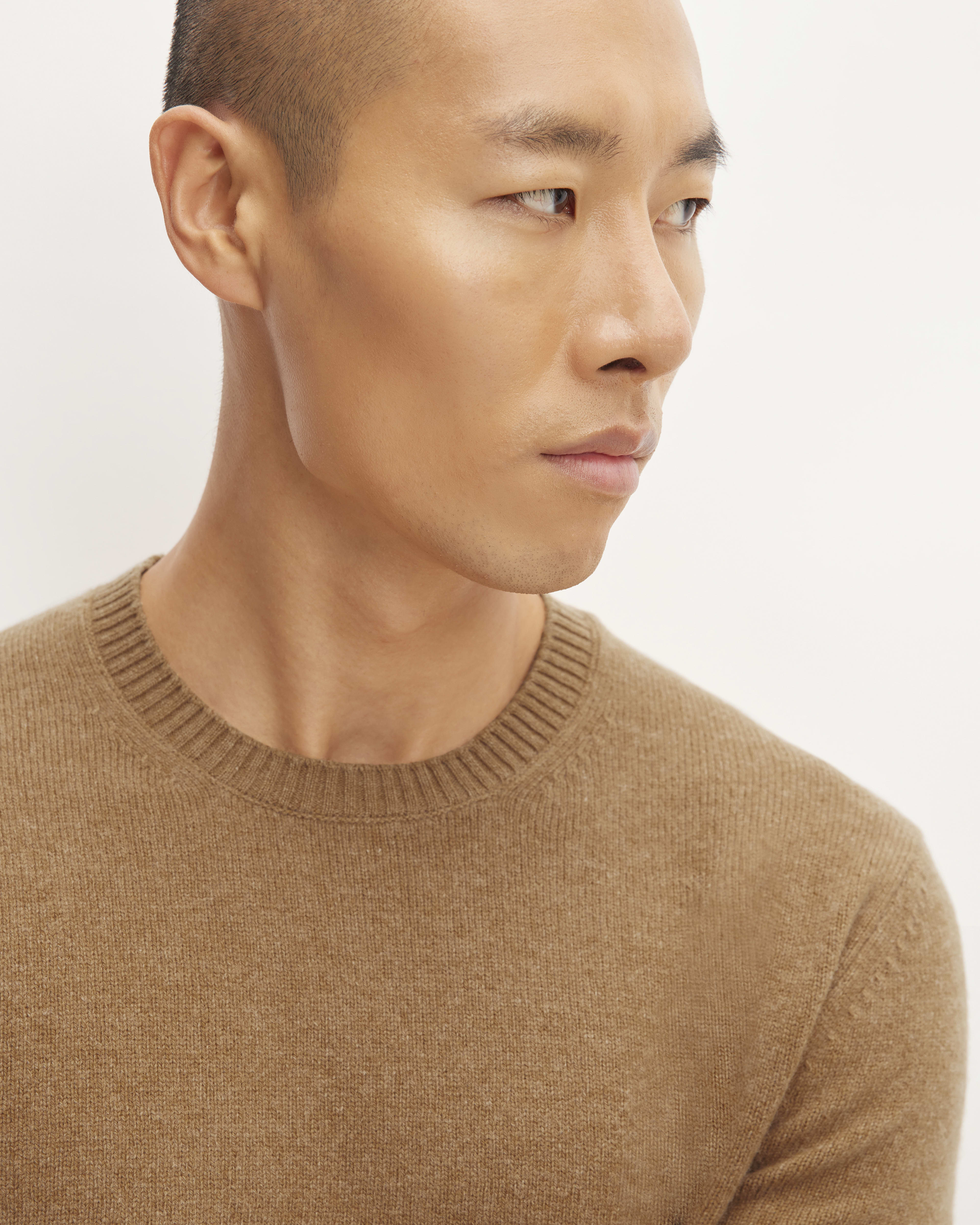 The Premium Merino Crew Neck Sweater | Deep Camel – Everlane