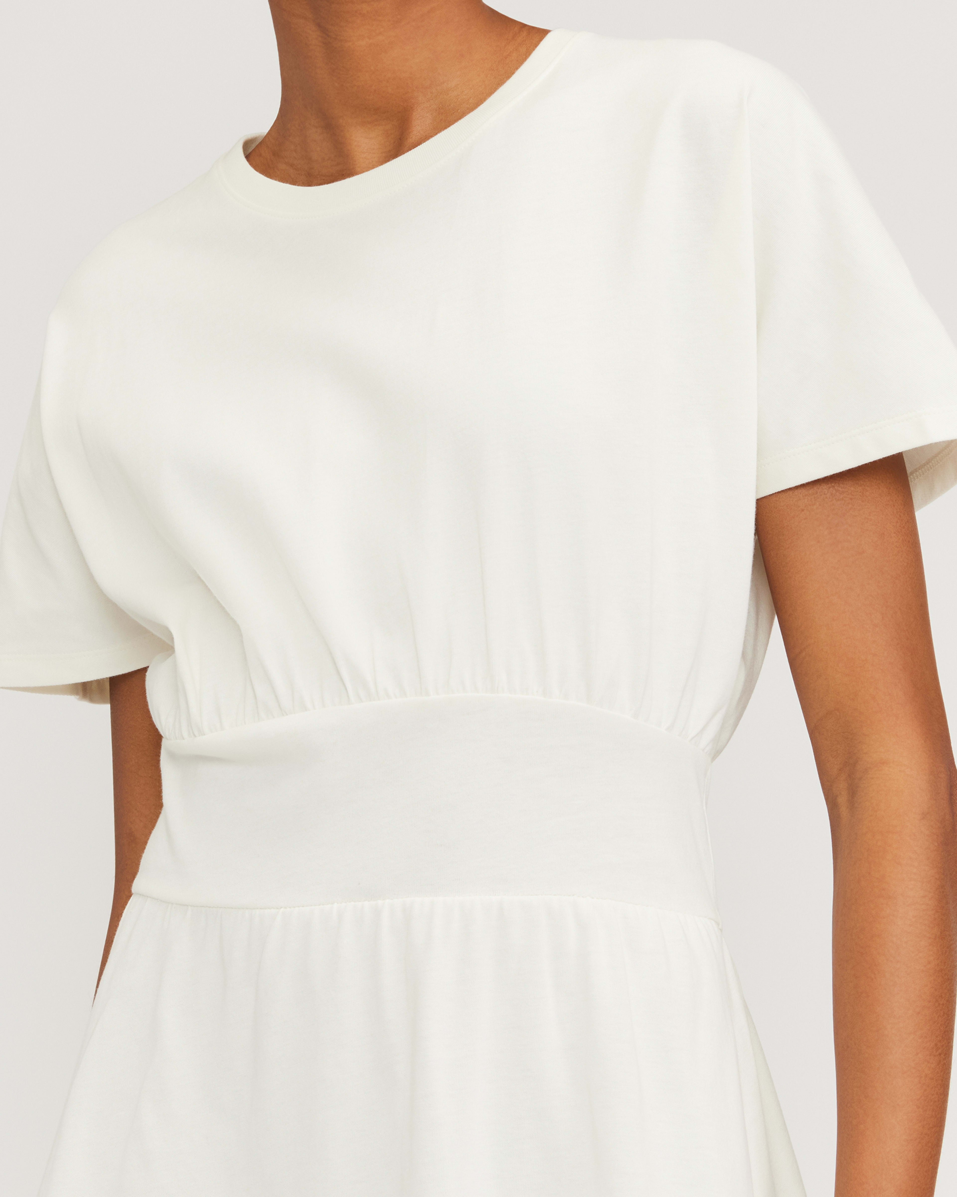 The Organic Cotton Waisted Dress | Canvas – Everlane