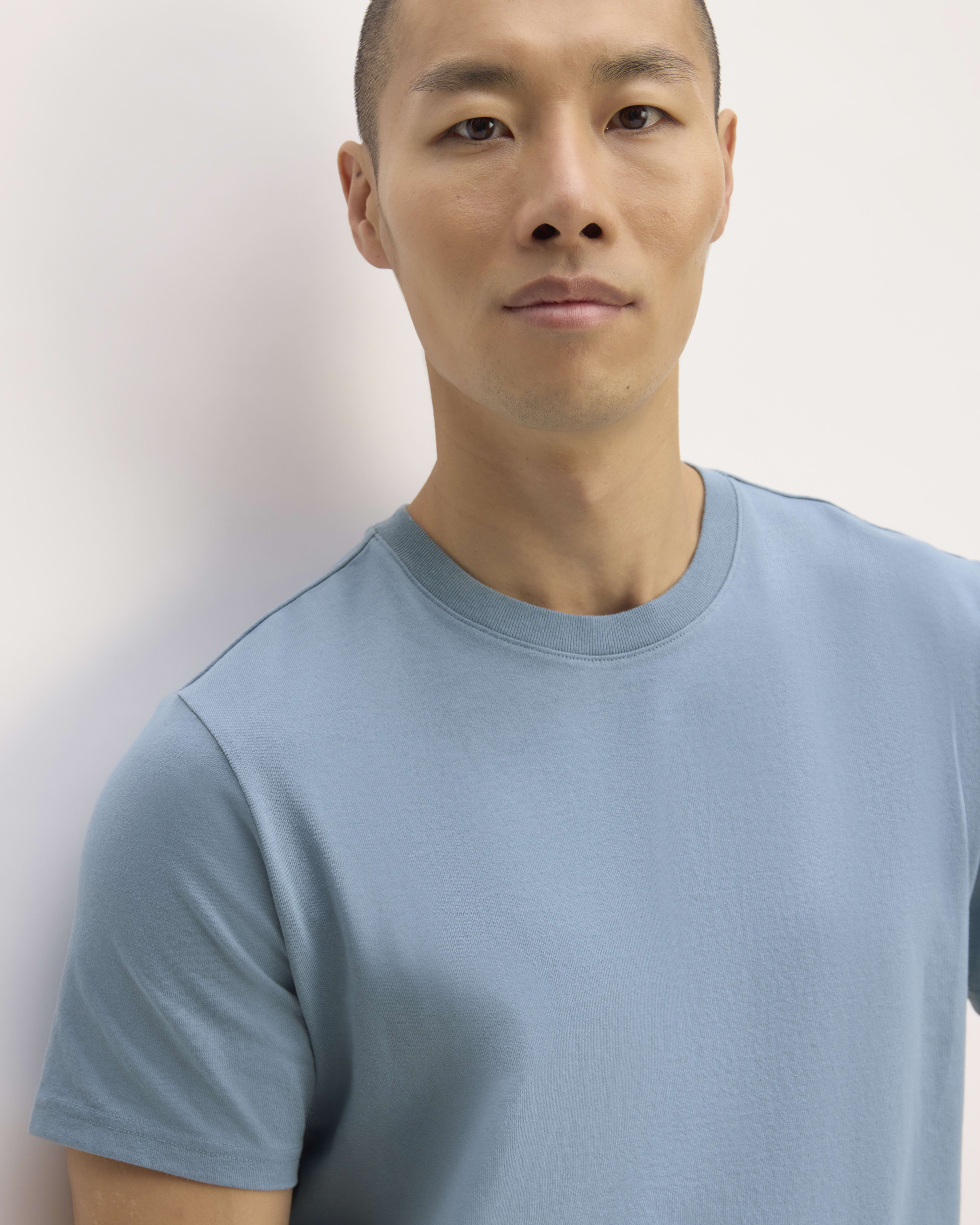 The Premium-Weight Crew | Uniform | Spring Lake – Everlane