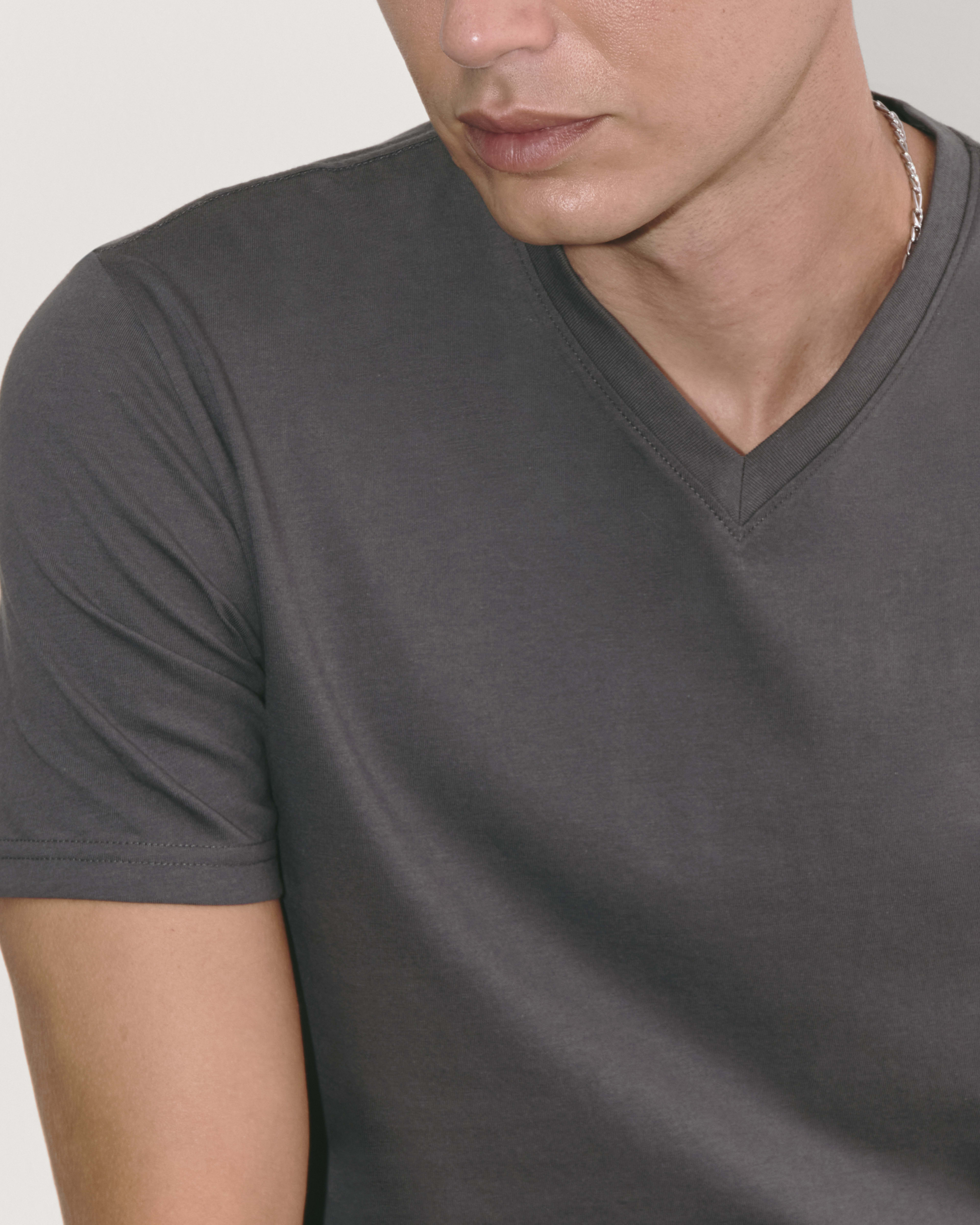 The Essential Organic V-Neck Tee | Graphite – Everlane