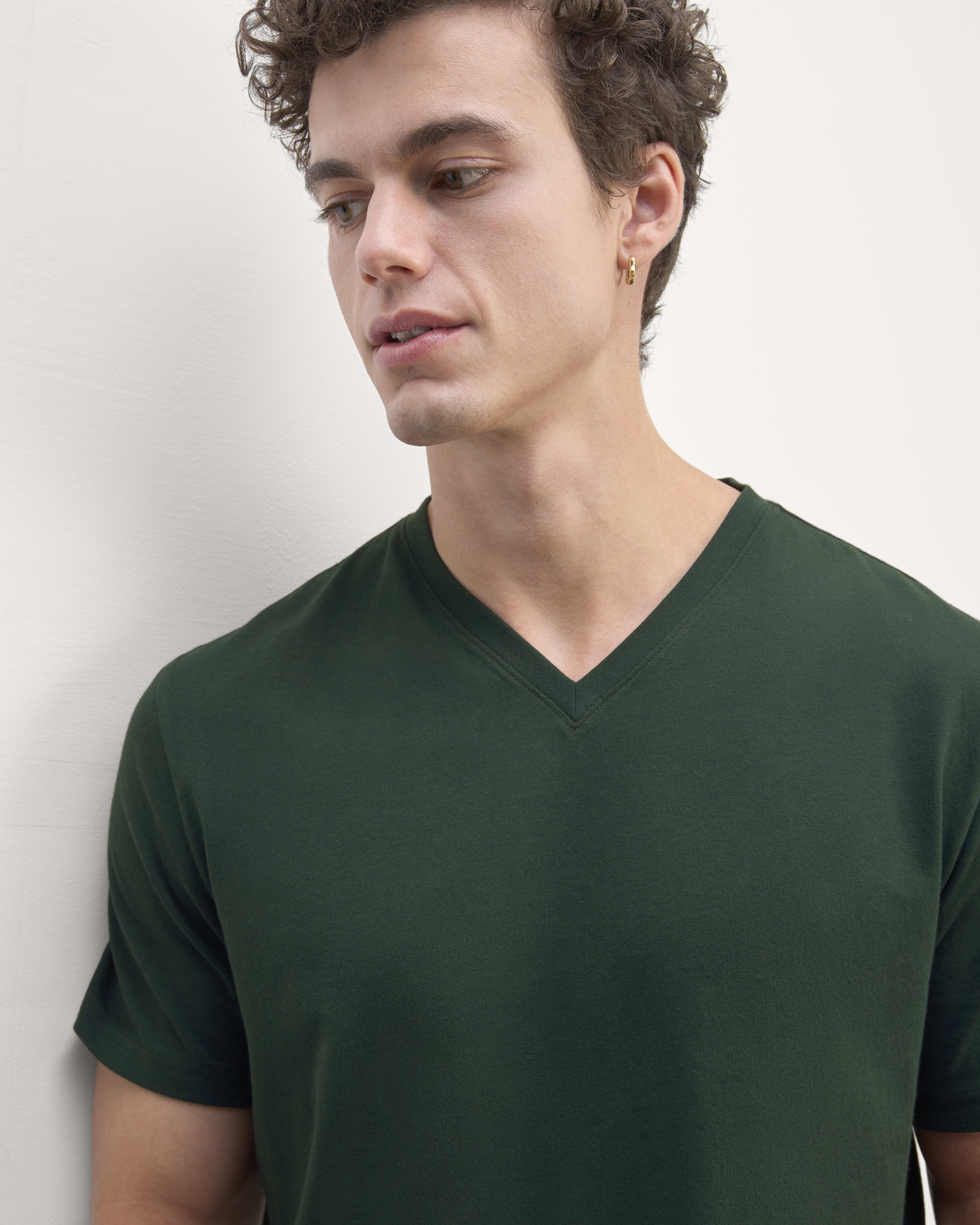 The Essential Organic V-Neck Tee | Scarab – Everlane